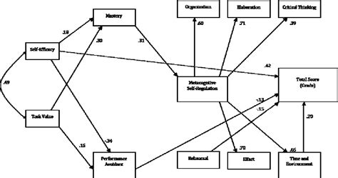 Figure 1 From Goals Efficacy And Metacognitive Self Regulation A Path