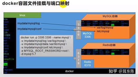 Docker中安装mysql与redis 知乎