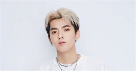 엑소 前멤버 크리스 강간죄로 中 공안 체포 중국서 중국법 따라야[종합]