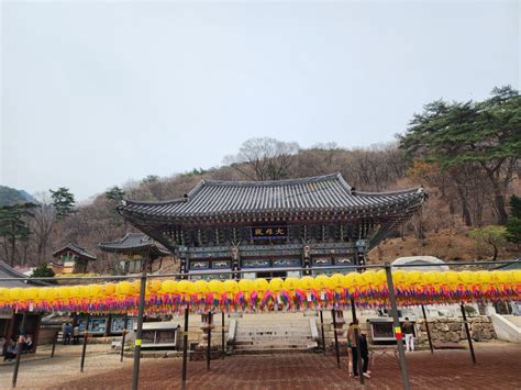 양평 가볼만한곳 용문산관광단지 용문사와 천년은행나무 네이버 블로그