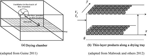 Modeling The Thin‐layer Drying Of Fruits And Vegetables A Review Onwude 2016