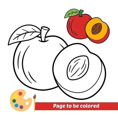 키위 참외 파인애플 귤 과일 색칠공부프린트 Fruits Coloring Page 키위 과일 과일 그림