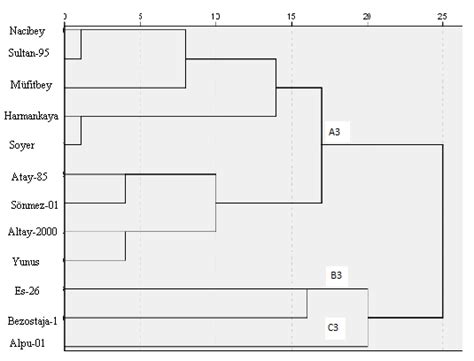 Upgma Clustering For 12 Wheat Genotypes Based On Rapd And Issr Markers Download Scientific