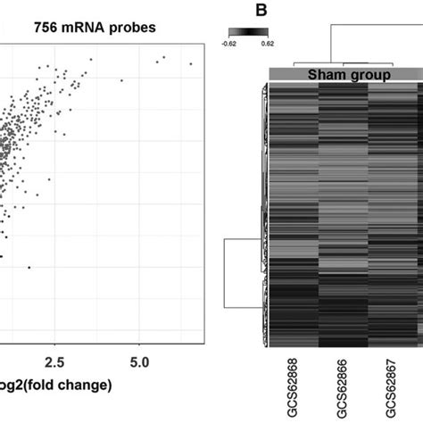 Pathway Relation Network Analysis The Pathway Relation Network Was Download Scientific Diagram