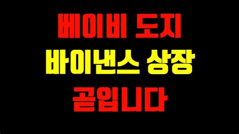 베이비도지코인 바이낸스 상장 유력 Youtube