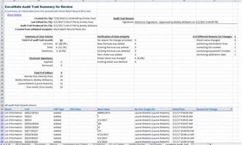 excelsafe audit trail report ofni systems with regard to test summary