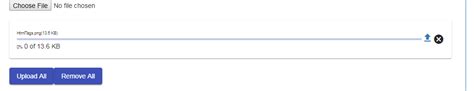 look and feel are different in ie 11 and chrome for same angular