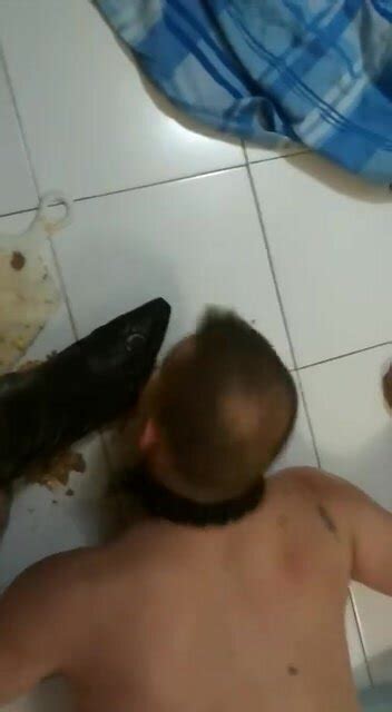 What Kind Of Meal Would You Fancy