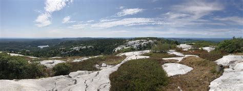 Brian Cantor Consulting Home