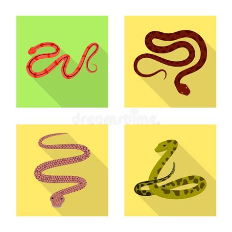 Vector Illustration Of Skin And Reptile Symbol Collection Of Skin And Danger Stock Symbol For
