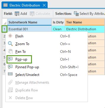 Get Started With ArcGIS Utility Network For Electric Documentation