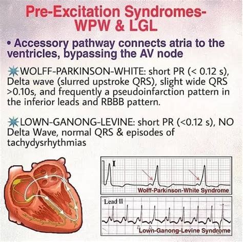 The Heart 🔴cardio Oncology Rehabilitation And Exercise Facebook