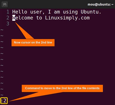 Vim In Linux Linuxsimply