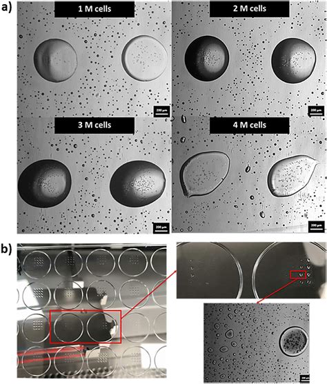 Improving Printability Of Hydrogel Based Bio Inks For Thermal Inkjet