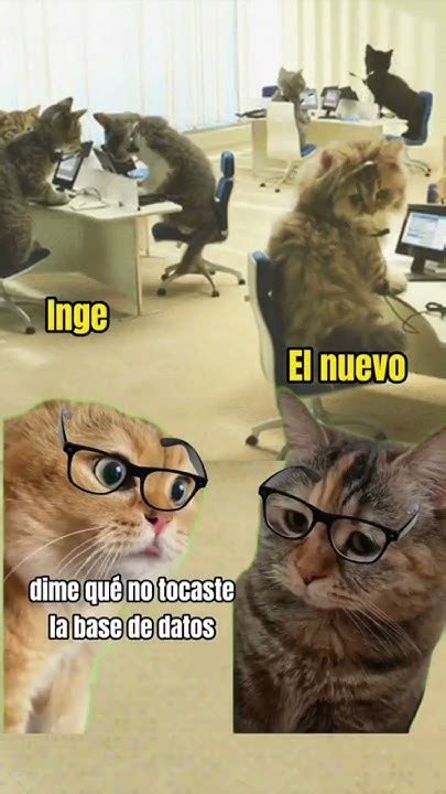 Jquery Windows Digitalocean Smartphone Python Programacion Humor