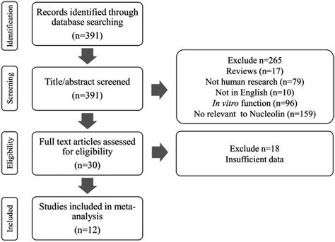 Cellular Localization Of Nucleolin Determines The Prognosis In Cancers A Meta Analysis Pmc