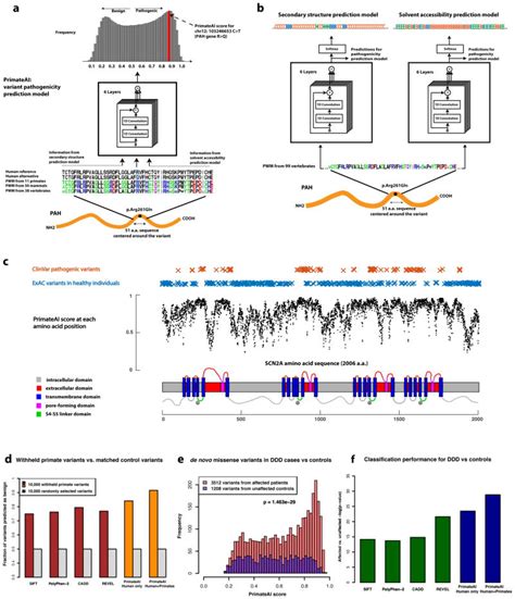 Predicting The Clinical Impact Of Human Mutation With Deep Neural Networks Pmc