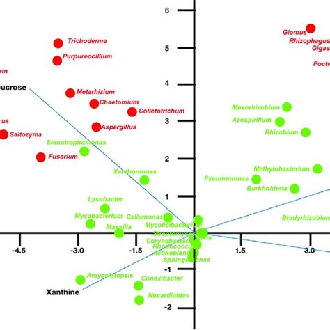 Canonical Correspondence Analysis Of Metagenomic Sequence Data And Download Scientific Diagram