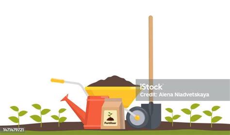그냥 땅 콩나물과 정원 도구에 심었습니다 묘목 과일 나무 삽 비료 및 물을 수 있습니다 농업 소책자 전단지 정원에 대 한 그림입니다 0명에 대한 스톡 벡터 아트 및 기타