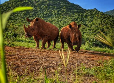 About Evan Rapoport — Evan Rapoport