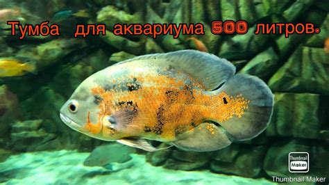 Изготовление тумбы под аквариум 500 литров и полка для фитофильтра ...