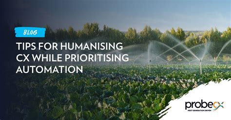 Probe Cx On Linkedin Automation Customerexperience Digitaltransformation Probecx
