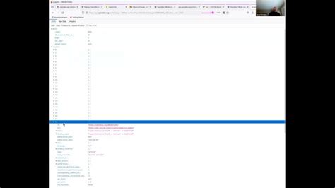 bastián ia on linkedin webinar the openalex api part 2 diving in