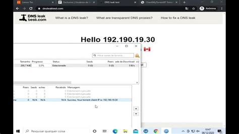How To Check If Your VPN Is Hidding Your IP When Downloading Torrent