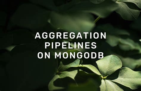 Create Optimized Mongodb Aggregations By Musama96 Fiverr