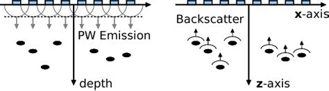 Figure 1 From Phase Shift Depth Migration For Plane Wave Ultrasound