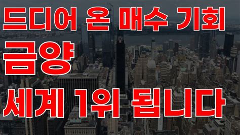 🔴 금양 장중 라이브 드디어 온 매수 기회 세계 1위 됩니다 Youtube