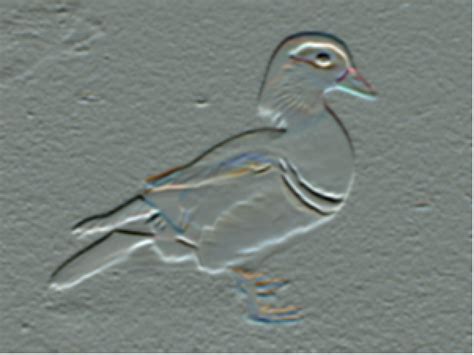image processing—wolfram language documentation