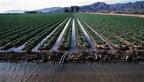 Localized Irrigation System