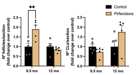 Pavel Chubukov On Linkedin Antiaging Drugdevelopment Senescence