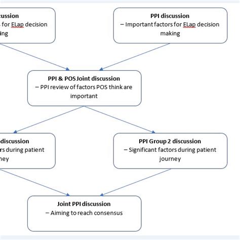 modified delphi process to determine important influencing factors in