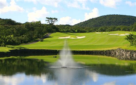 제주 그린필드cc 천혜의 자연에서 즐기는 라운딩구제피로스cc 네이버 블로그