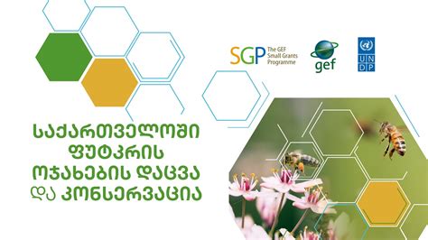 თეიმურაზ ღოღობერიძე თაგვების და ვირთხების საწინააღმდეგოდ მშრალი