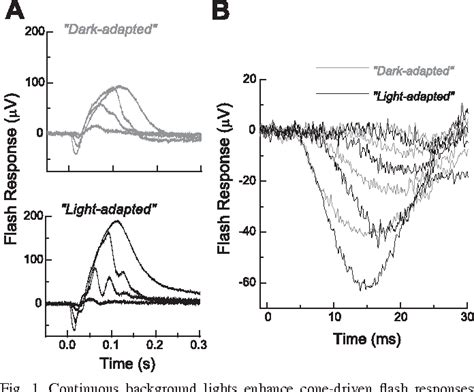 Figure 1 From Mesopic Background Lights Enhance Dark Adapted Cone Erg Flash Responses In The