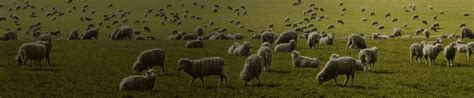 Agriseen Technology