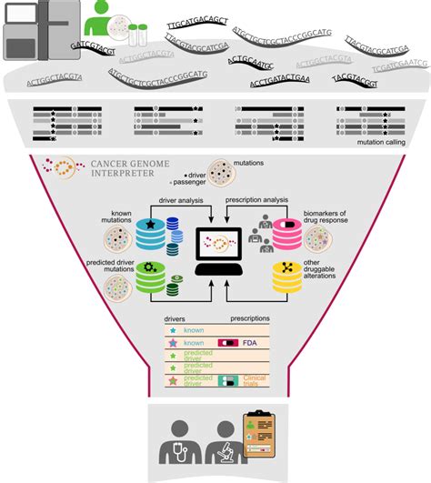 Introducing The Cancer Genome Interpreter Bbglab