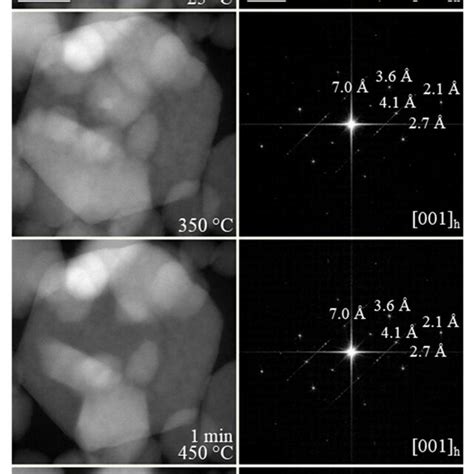From Top To Bottom In Situ Tem Imaging Under Vacuum Of The Synthesized Download Scientific