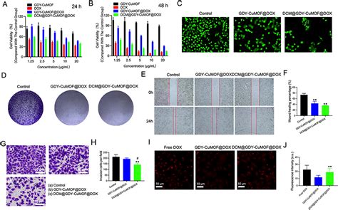 Biomimetic Graphdiyne Based Nanoplatform For Prostate Cancer Ijn
