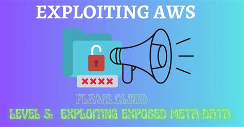 level 5 exploiting exposed meta data