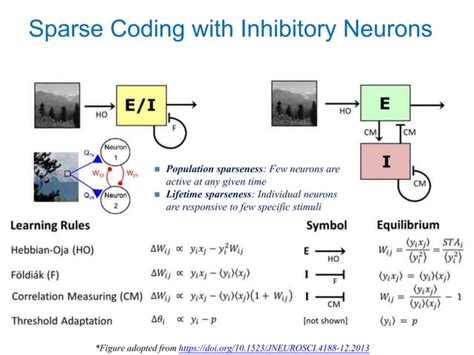 introduction to spiking neural networks from a computational