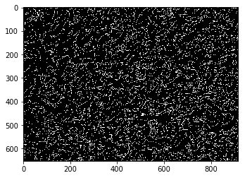Edge Detection With Graceless Image In Python Stack Overflow