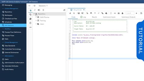 Sas Life Science Analytics Framework 5 Using The Programming Environment Sas Life Science
