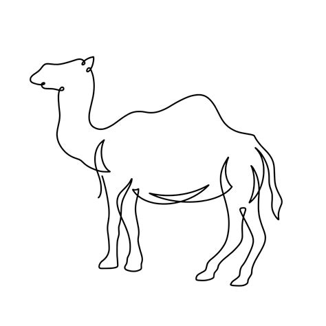 Premium Vector Vector Continuous One Line Camel Illustration