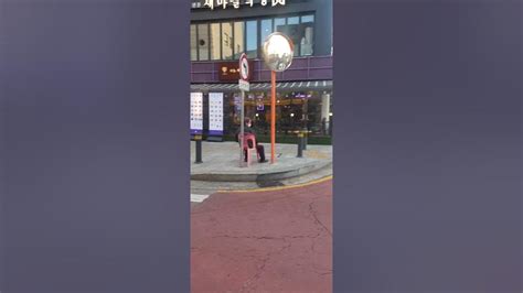 레브라도리트리버 산이연이 혼자외로이친구기다리는중ㅡㅡ Youtube