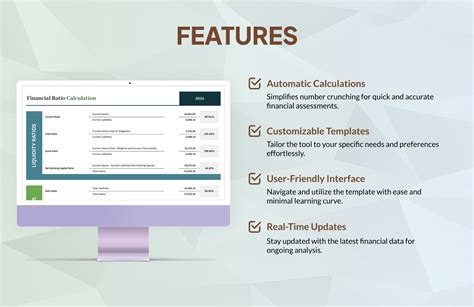 Financial Ratio Calculation Template Template Net