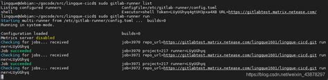 Gitlab Cicd配置使用教程gitlib Cicd 配置 Csdn博客
